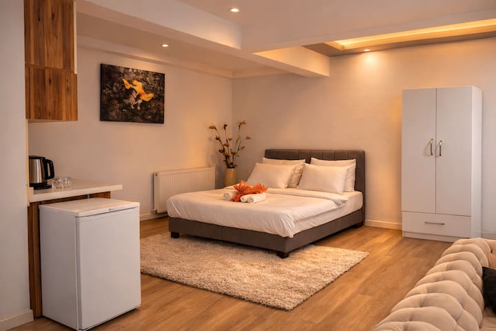 1+0 Jakuzili Kiralık Daire - Ankara