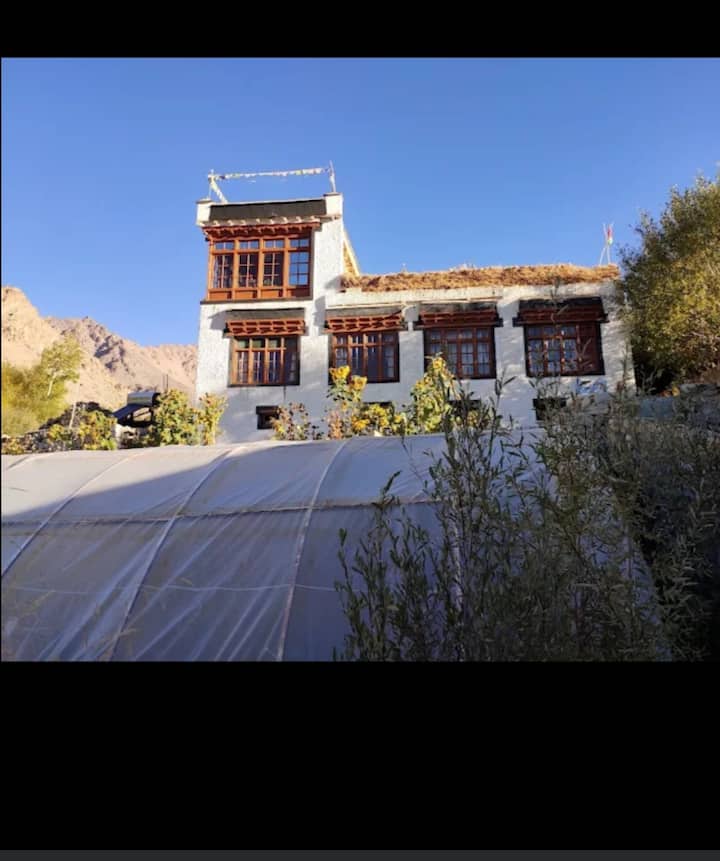 Liker View Homestay - Leh