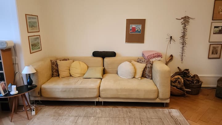 Gemütliche Altbauwohnung In Basel Mit Balkon. - Bâle