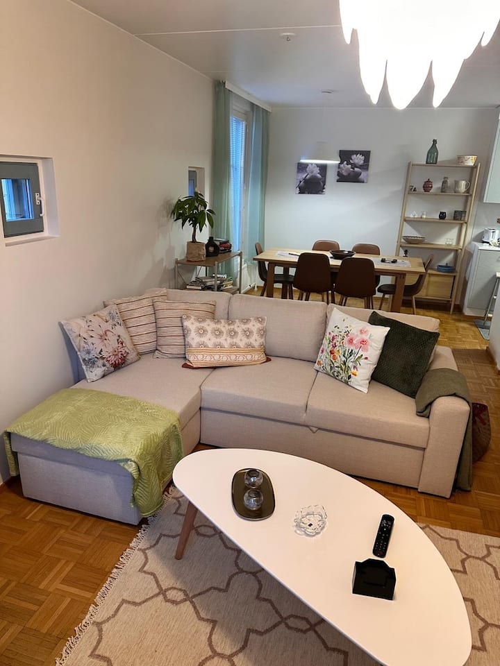 Saunallinen, Viihtyisä Huoneisto Keskustasta - Finland