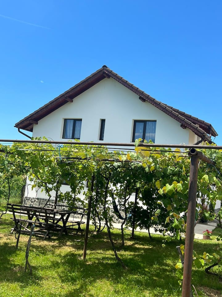 Pensiunea Alina Baia De Fier - Polovragi