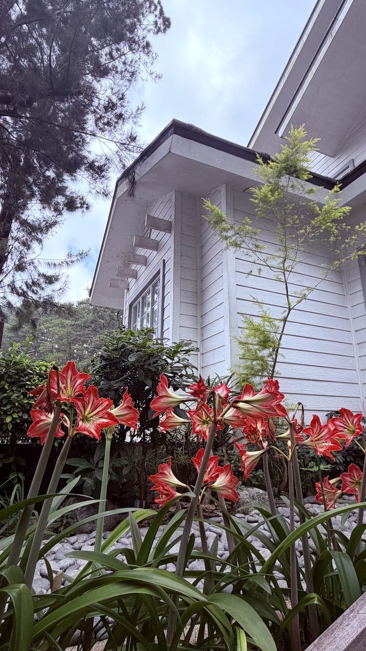 Inana: Idyllic Guesthouse In Baguio - バギオ