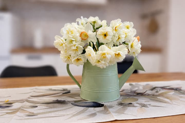 Apartma, Terasa, Parking In Korak Do Centra Izole - Izola