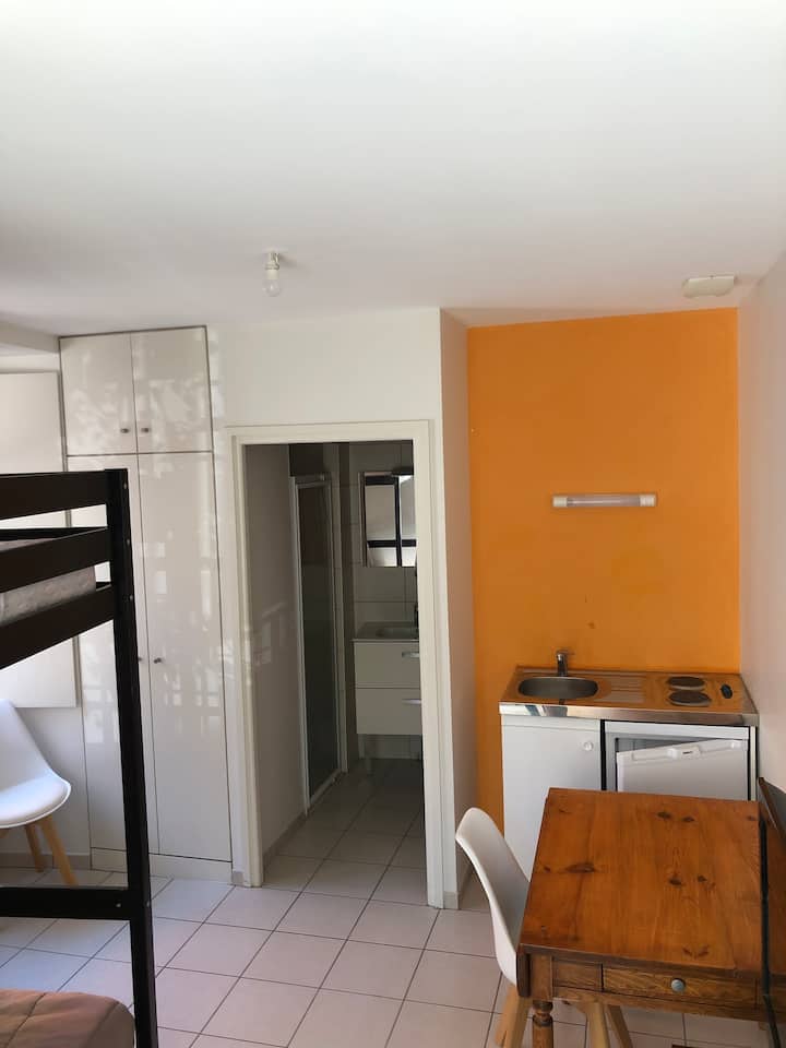 Studio Lumineux Au Cœur Historique Du Puy - Le Puy-en-Velay