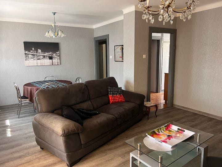 Maison Avec Garage Et Cour Privatifs Gratuits - Bischwiller