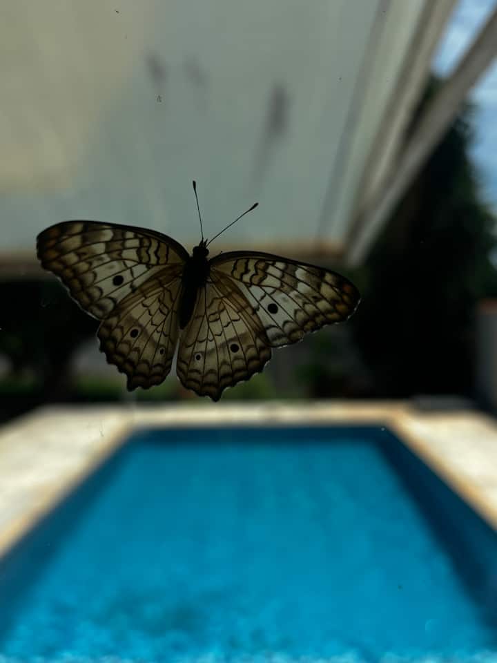 Recanto Vovô Fátima - Americana