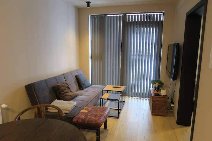 Bright And Spaceius Appartment - Reykjavik