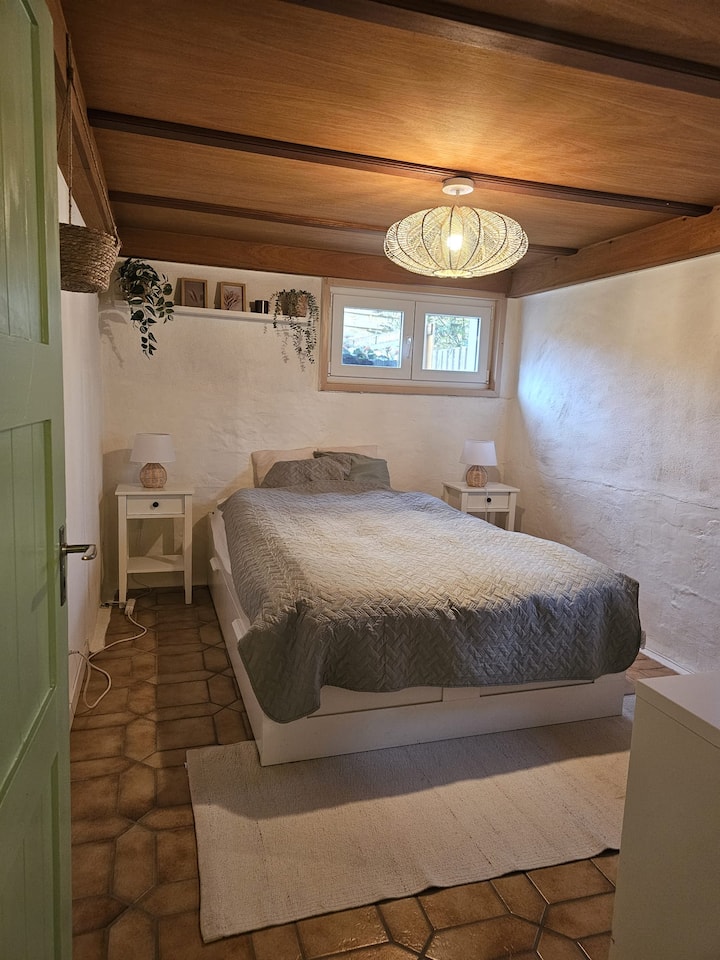 Près De La Forêt, Entouré De Chiens - Fribourg