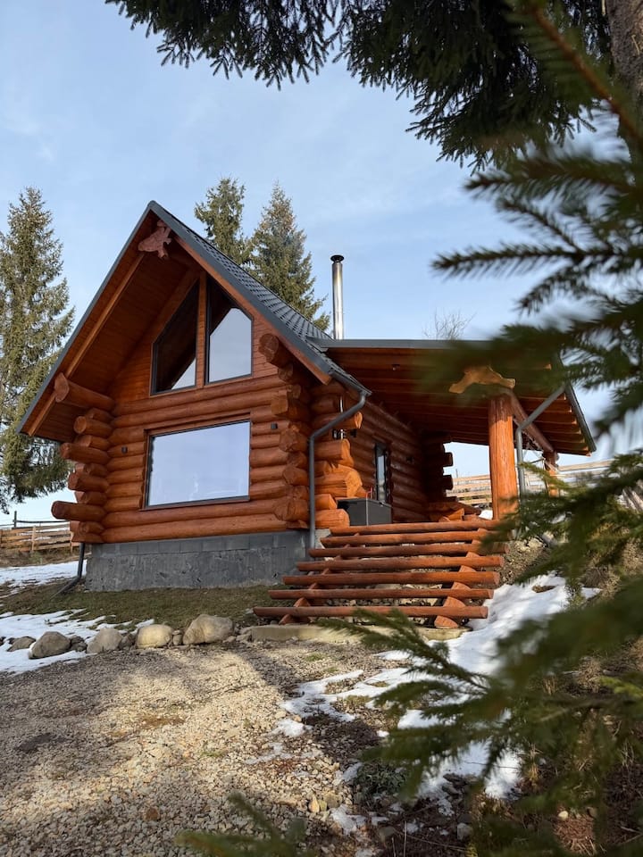 Cuibul Bucovinei - Poiana Stampei