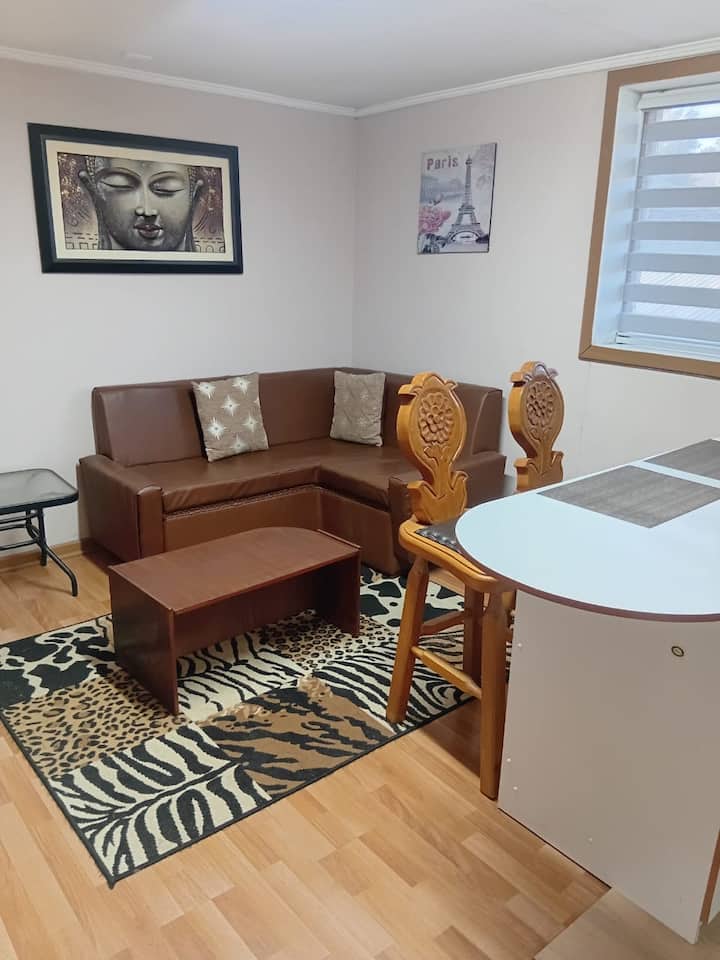 Departamento Con Entrada Independiente Angol - Angol