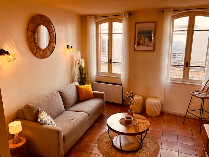 Beau T3 Hyper Centre-clim-lumineux-cosy-calme - Castres