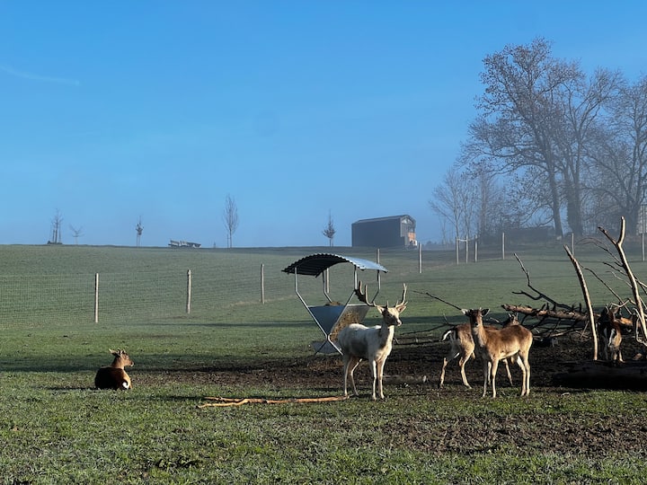 Zuhause Im Freien- Haus Mufflon - Bodensee
