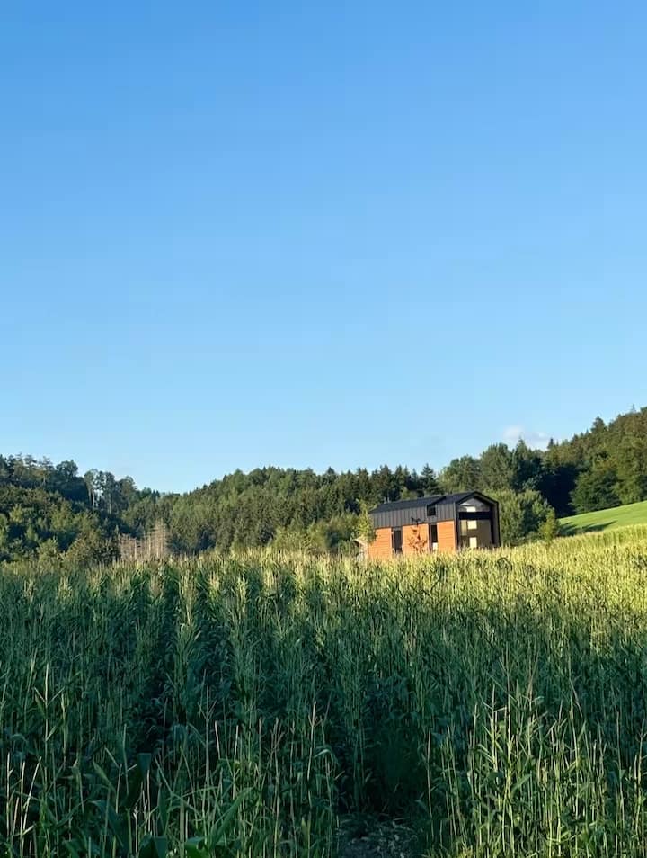 Zuhause Im Freien- Haus Mufflon - Bodensee
