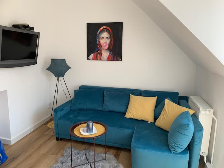 Apartament Casa Dorada - Torun