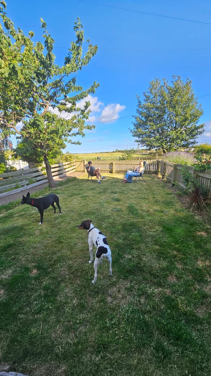 Cosy Cottage Near Bamburgh, Dog Friendly. - Seahouses