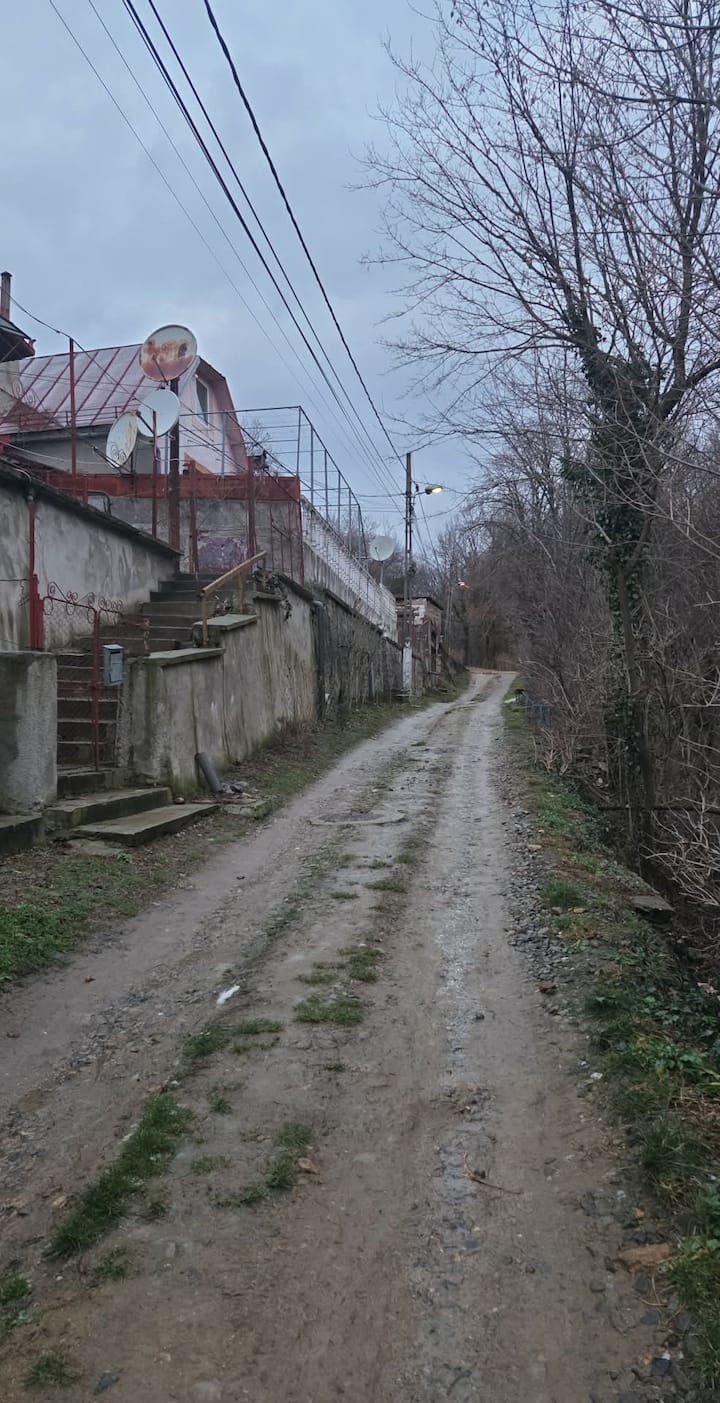 Vacation Home In A Wonderful City Area - Oravița