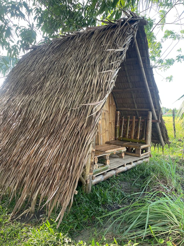 A 2 Heactar Farm With A Tiny Bamboo House . - Pototan
