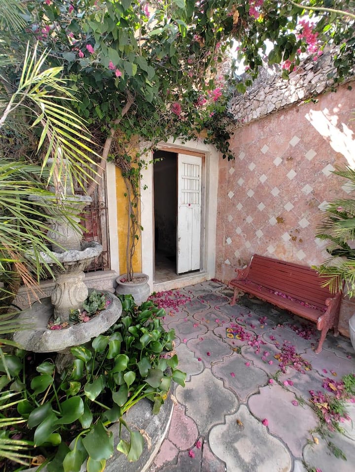 Cozy Deco Art Desing Colonial Home, Downtown, Pool - Yucatan, Mexico