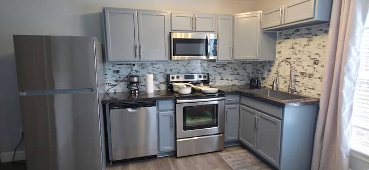 Spacious, Quiet 1br Near Med Center, Uh & Downtown - Houston, TX