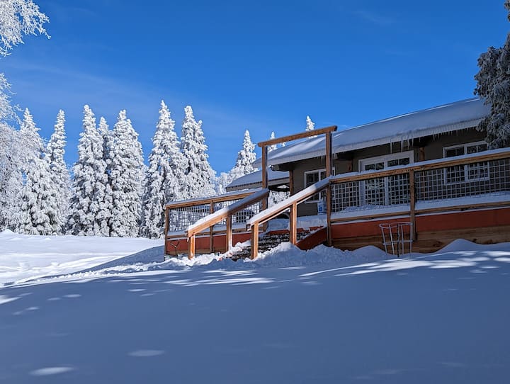 Upper Meadow Cabin - Explore 18 Acres At 5,500 Ft! - Palomar Mountain State Park, Palomar Mountain