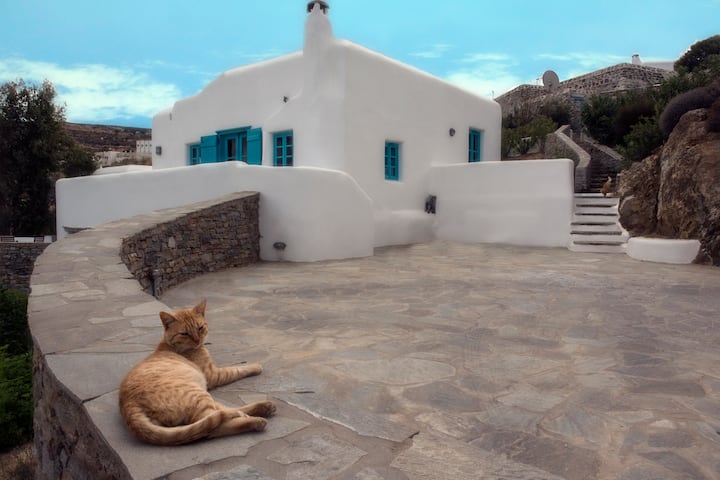 Villa Thaleia - Belogna Icons Shared Pool - Naxos, Grecia
