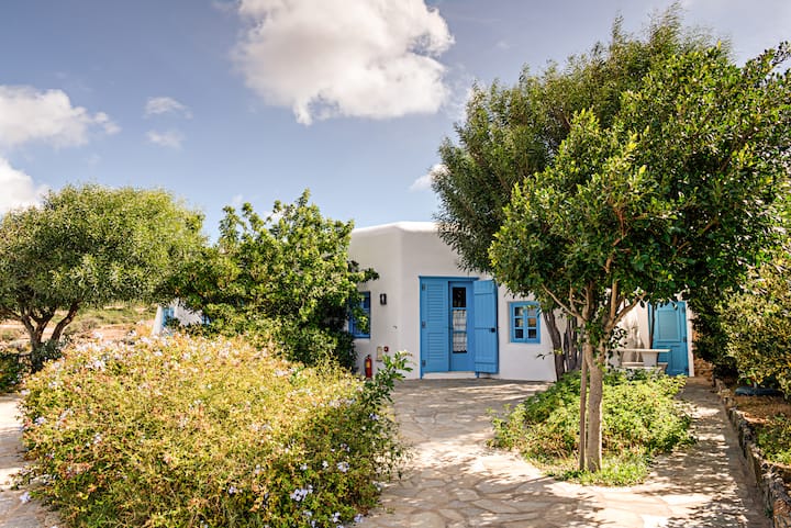 Villa Erato - Belogna Ikons Shared Pool - Naxos