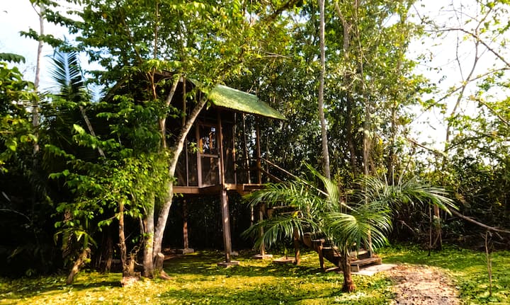 Jungle Cabana | Butterflies | River | Ecofarm - Belmopan