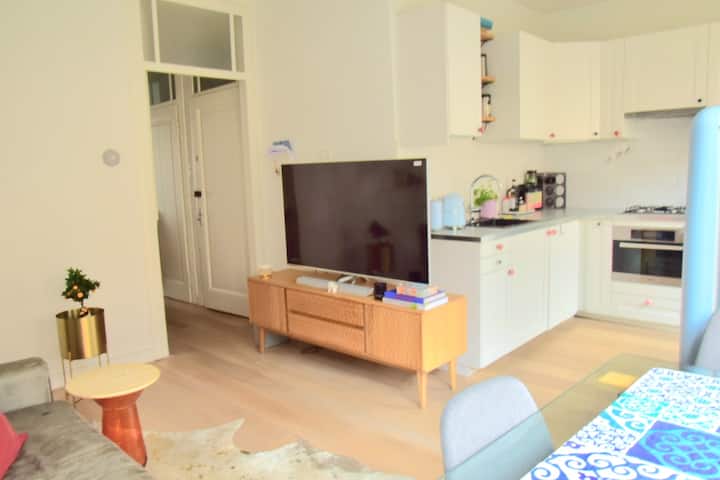 Bright Amsterdam Oud-zuid Apartment-large Balcony - Amsterdam