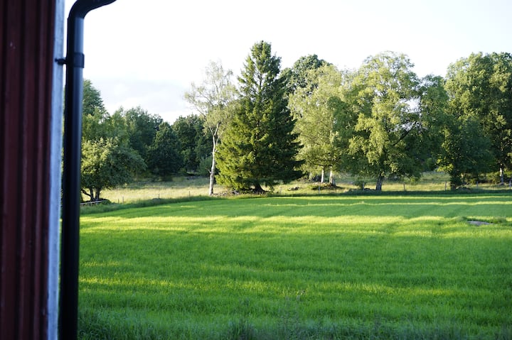 Stor Bostad, Två Hus Före Detta Hästgård 10 000 M² - Värnamo