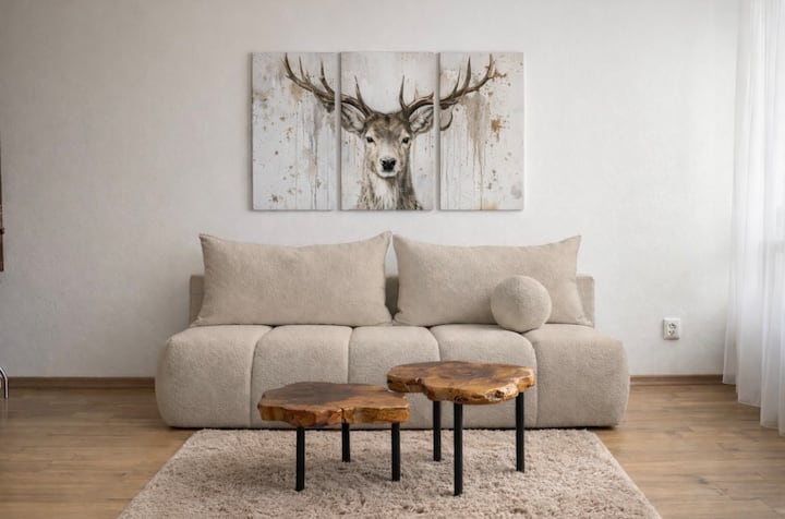 Byt U Jelena S Parkovacím Místem V Centru Města - České Budějovice