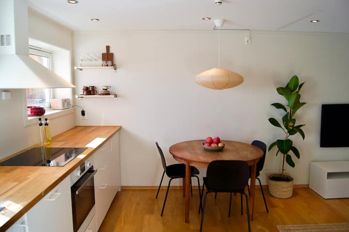 Hyggelig Leilighet På Ugla. - Trondheim