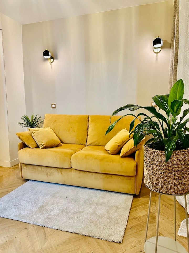 Appartement Cosy Avec Parking/ Métro & Paris Exp - Issy-les-Moulineaux