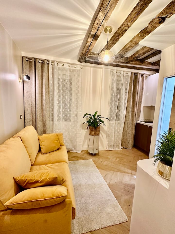 Appartement Sud Paris/métro - ibis budget Paris Porte de Vanves