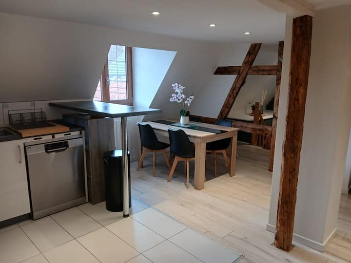 Appartement Sur La Route Des Vins - Molsheim