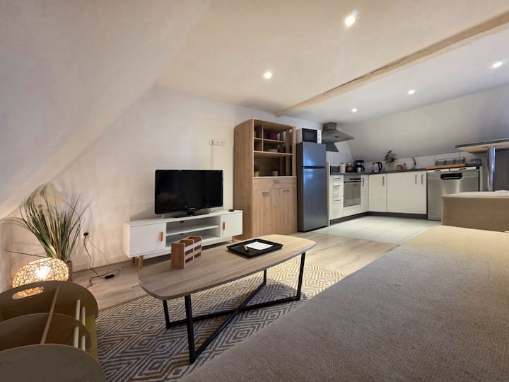 Appartement Sur La Route Des Vins - Molsheim