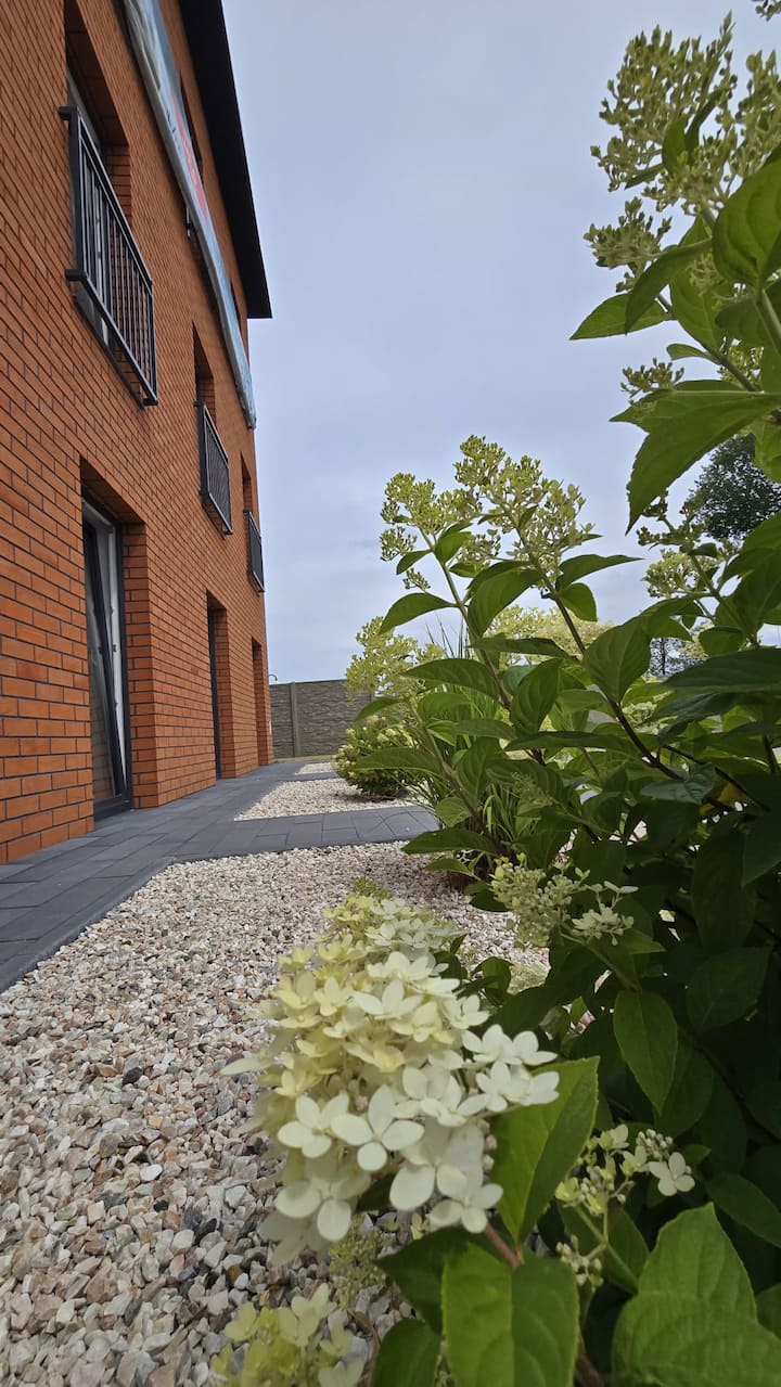 Bam2 Studio Dla Dwojga - Mielno