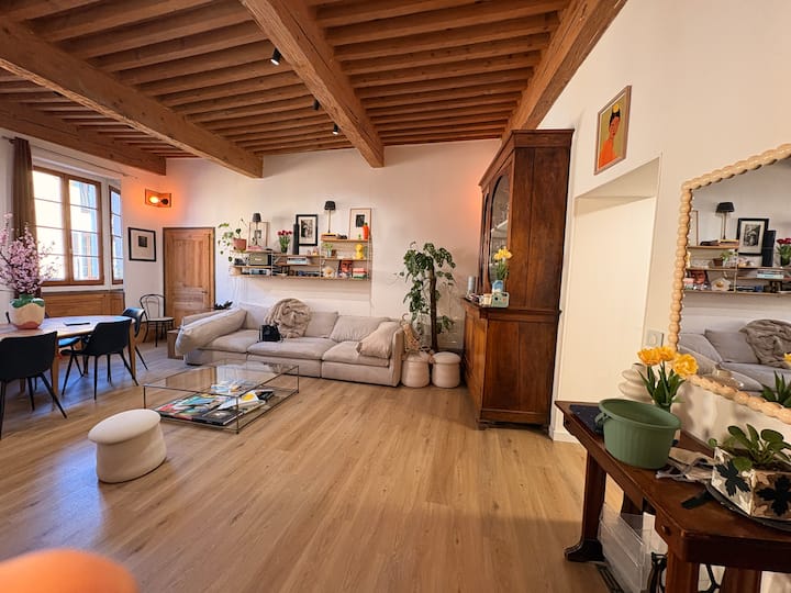 Grand Appartement Bourgeois En Rue Piétonne - Annecy