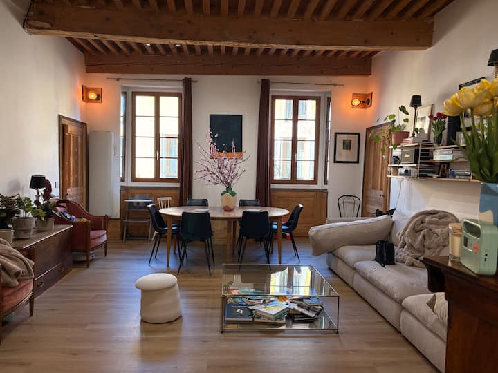 Grand Appartement Bourgeois En Rue Piétonne - Annecy