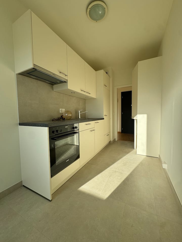 Appartement Spacieux à Genève - Genève