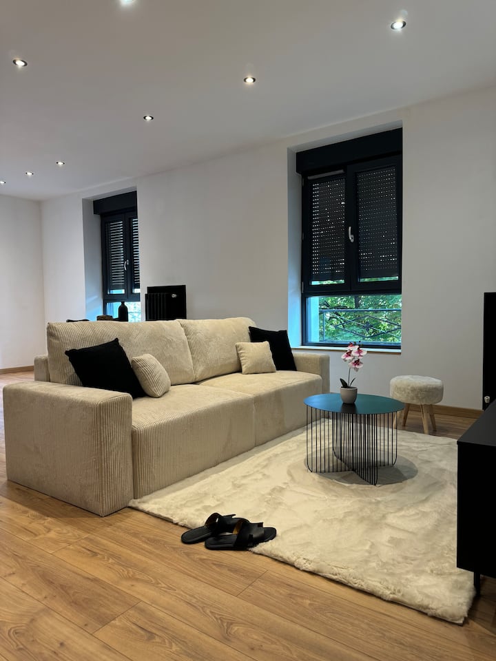 Magnifique Appartement à Annemasse - Annemasse