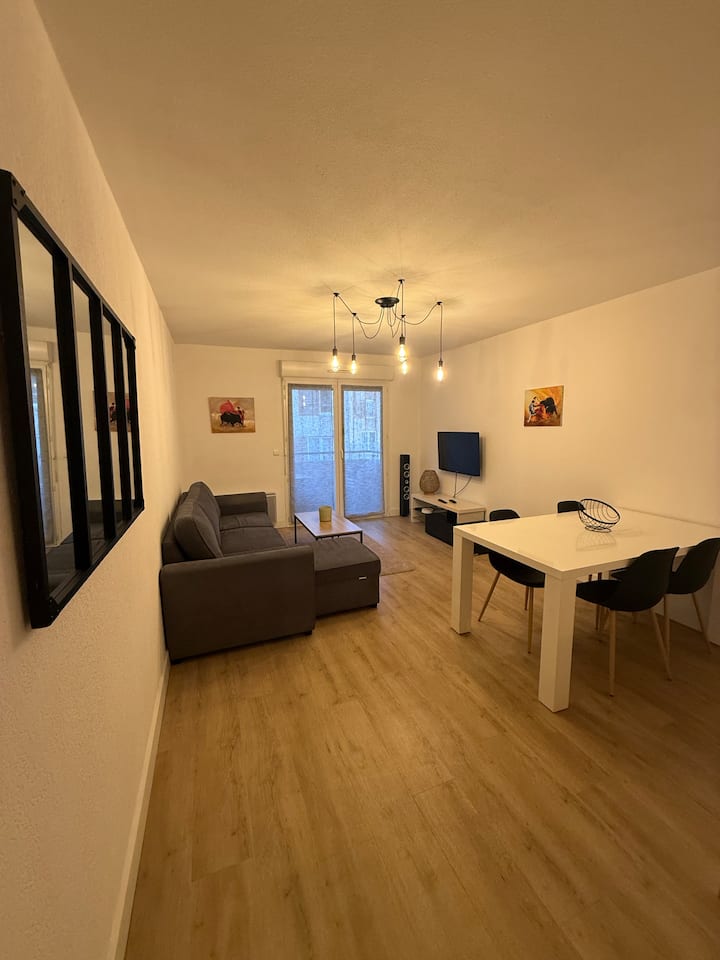 Appartement T3 Orthez Avec Parking Privé - Orthez