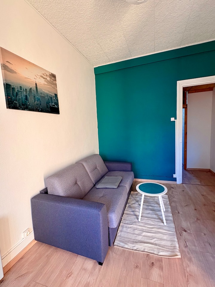 Appartement Proche Du Centre - Sans Tv - Roanne