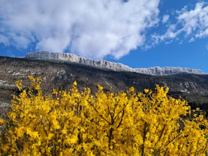 ÉCrin De Nature Entre Lacs Et Montagnes - Lac d'Aiguebelette