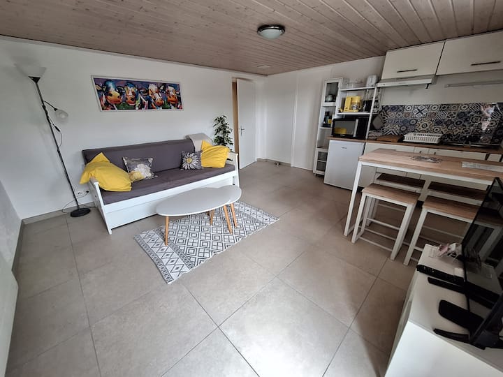 Paisible Appartement En Rez Inférieur De Maison - Seyssel