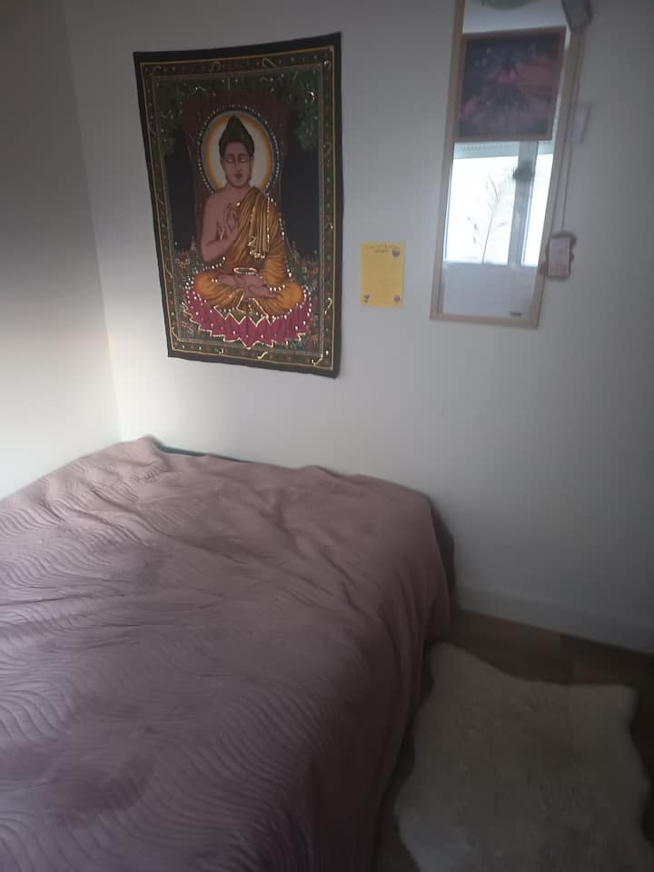 Location Chambre En Centre Ville - Dax