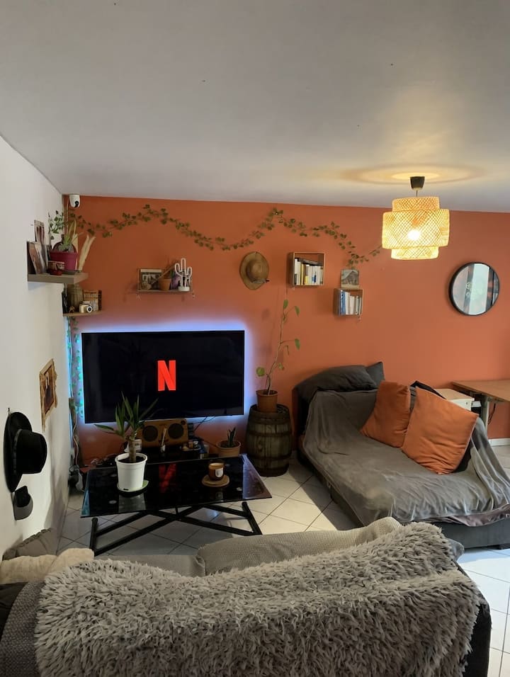 Appart Cosy Calme : Netflix, Bureau, Terrasse - Vénissieux