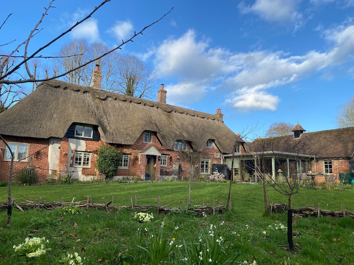 Under The Thatch At Rose House - Blandford Forum