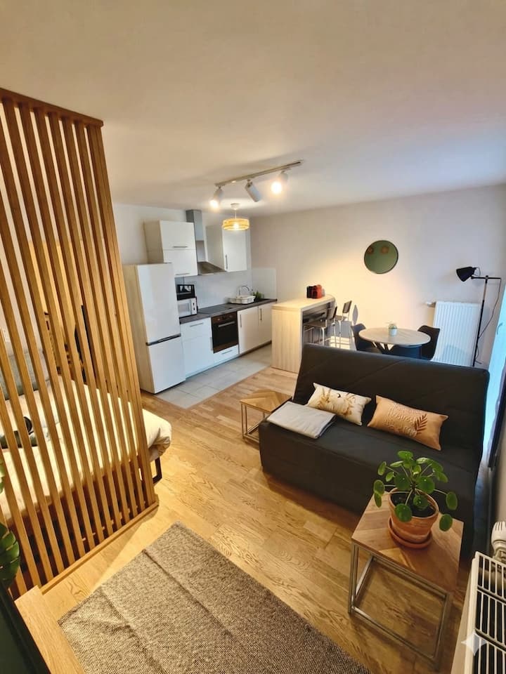 Appartement Cosy à Noisy-le-grand Paris- Disney - Champs-sur-Marne