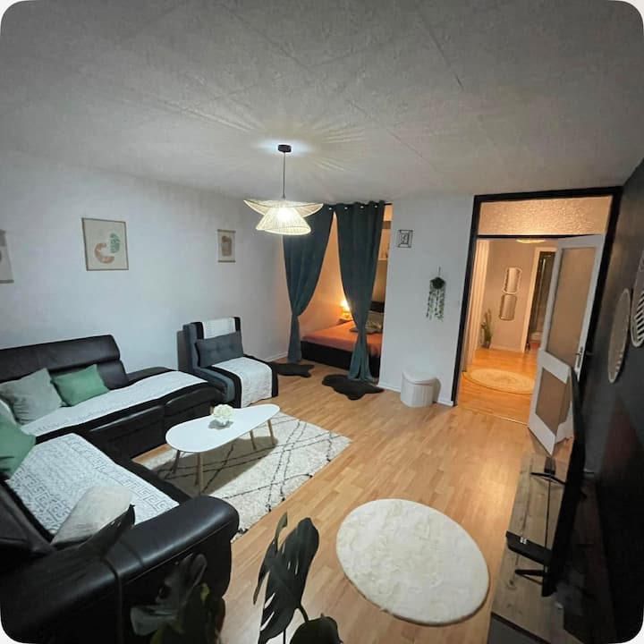 Sublime Appartement Cosy Gare Et Centre - Épinal