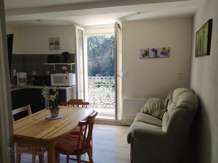 F 3 Orchidée Dans La Résidence "La Maison Carrée" - Avène